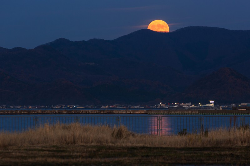 キャラクターでストーリーを動かす② | ⬢ Appirits spirits